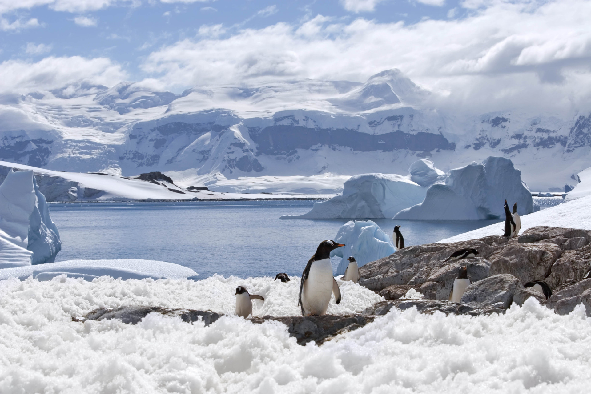Things To Do In Antarctica Visit The South Pole
